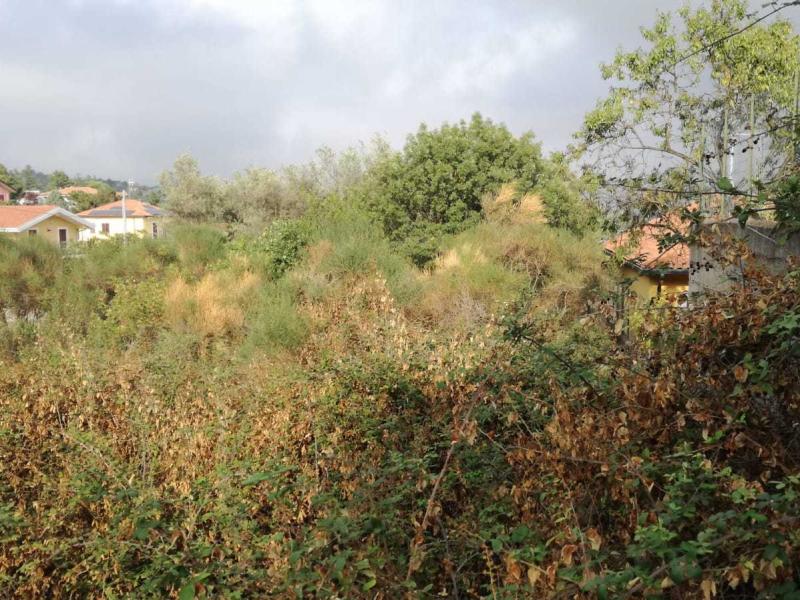 edificabile in Vendita a Catania