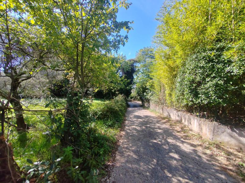 terreno-agricolo in Vendita a Latina